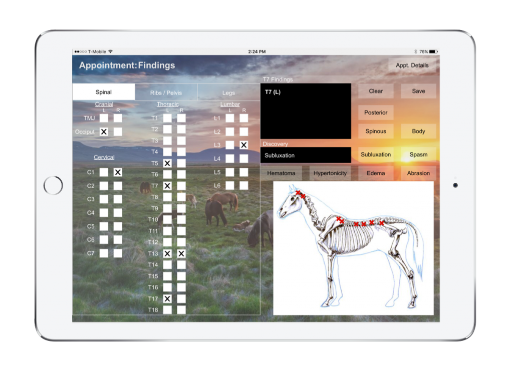 Homepage - iPointTouch